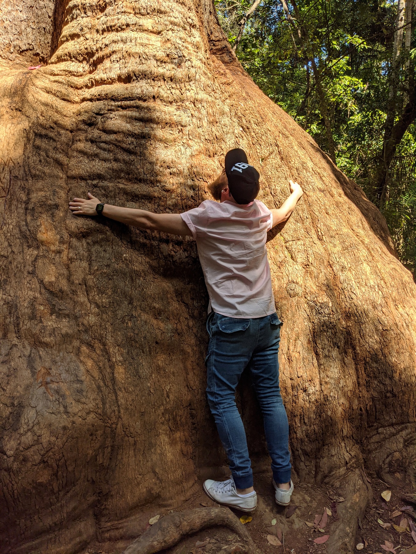 Australia | NSW Far North | agmtraveller.com