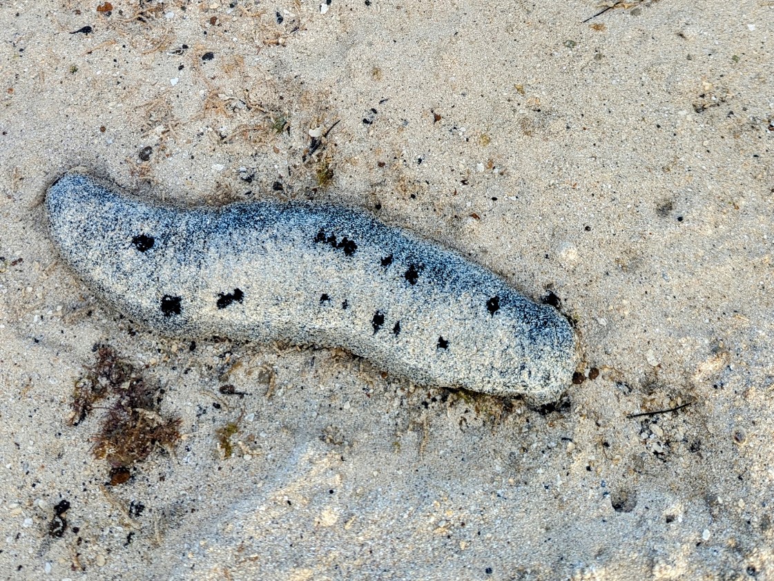 Cook Islands | agmtraveller.com