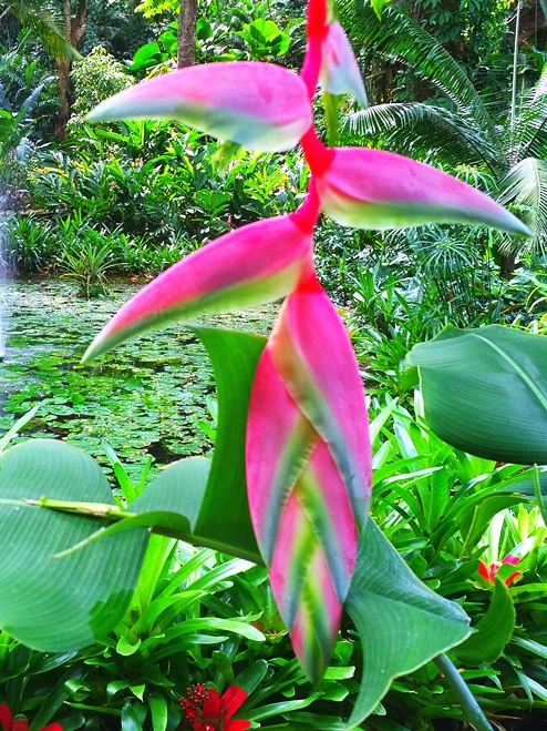 Fiji | agmtraveller.com