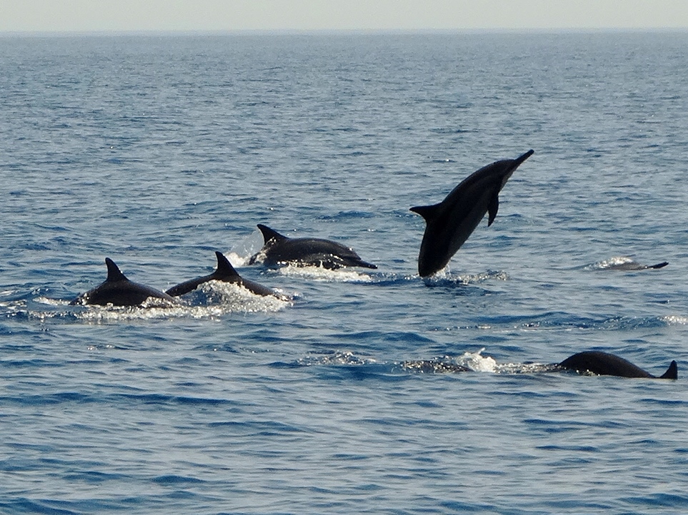 Oman & United Arab Emirates | agmtraveller.com